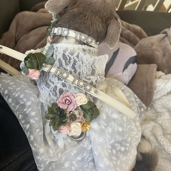 Succulent Wedding Collar | Succulent Flowers | S M L XL XXL | Flower ...