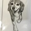 Bijon Art, Bijon Drawing, ORIGINAL Drawing, Bijon Sketch, Dog Art, Dog ...
