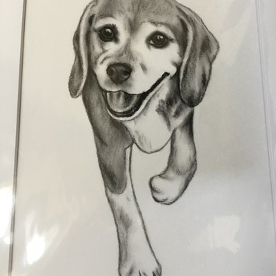 Bijon Art Bijon Drawing ORIGINAL Drawing Bijon Sketch Dog - Etsy
