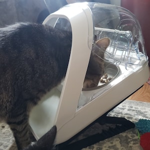 Surefeed Feeder Adjustable Stand raised / Tilted - Etsy