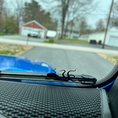 Kraken Windshield Decal or Cell Phone Case Octopus Easter Egg - Etsy