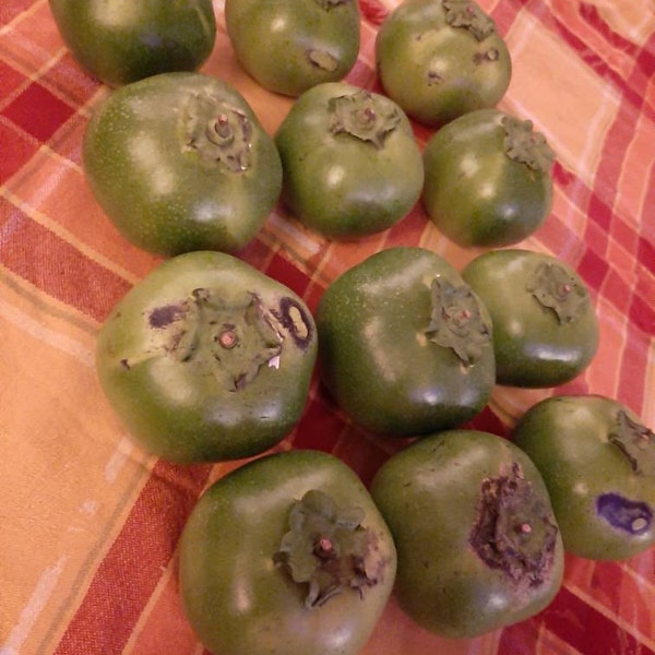 Thaddeus of Warsaw, 1 of 2 Volumes PORTER, Jane Publication Date: 1809 ...