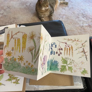 Spring Hope Concertina Card Spring Nature Card Wildflowers Imbolc Card ...