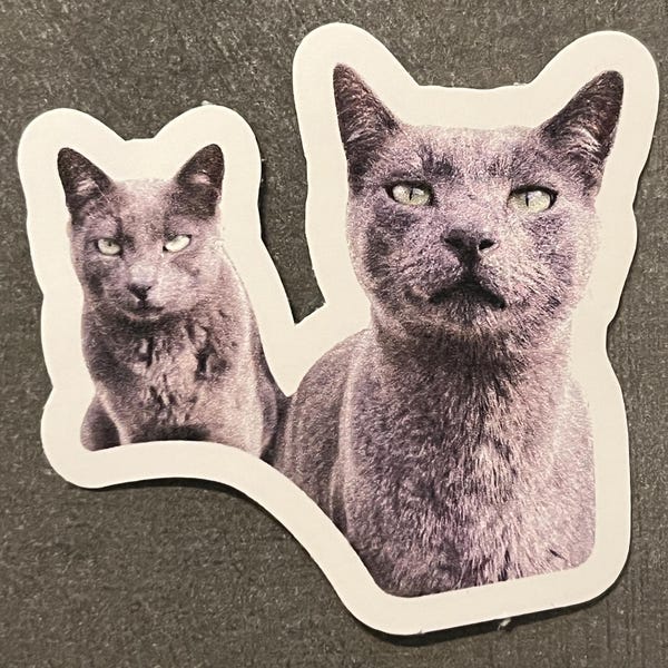 Custom Clear Acrylic Printed Logo With Standoffs, Any Color Floating ...