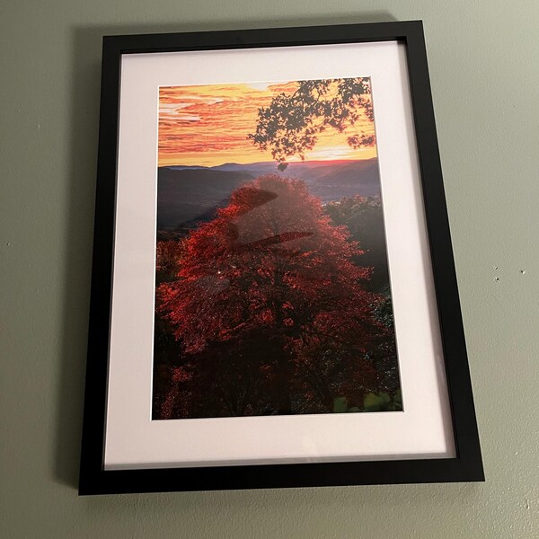 San Antonio Print, Riverwalk Wall Art, San Antonio River Walk, Casa Rio ...