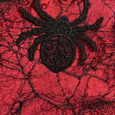 Lacey Spider free Standing Lace A Finished Embroidery Product, Not a ...