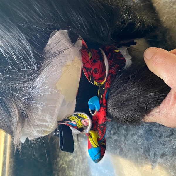 CAPUCHIN DIAPER SET in Dinosaurs - Etsy