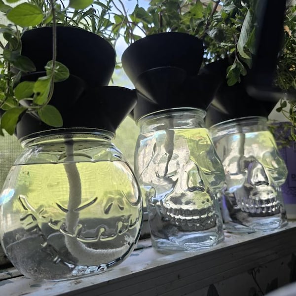 Self-watering Mason Jar Planter – Indoor Herb Gardening – Low ...