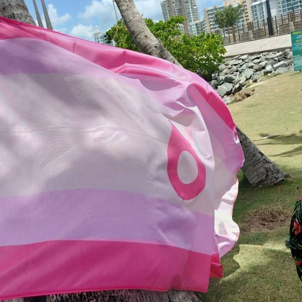 Finsexual Pride Flag Unique Design Print High Quality Materials Size ...