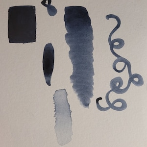 Cochineal Bugs WHOLE Dried Bugs Natural Dyes 1 Ounce | Etsy