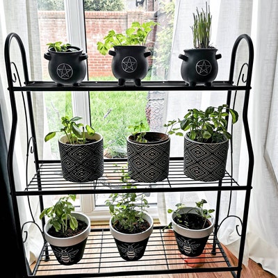 Elf Hand Painted Terracotta Plant Pot - Etsy