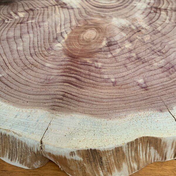 Set of 2 Finished Live Edge Round Wood Crosscut Centerpieces Red Cedar ...