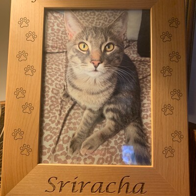 Cat Memorial Frame, Pet Loss Gifts, Cat Picture Frame, Picture Frames ...
