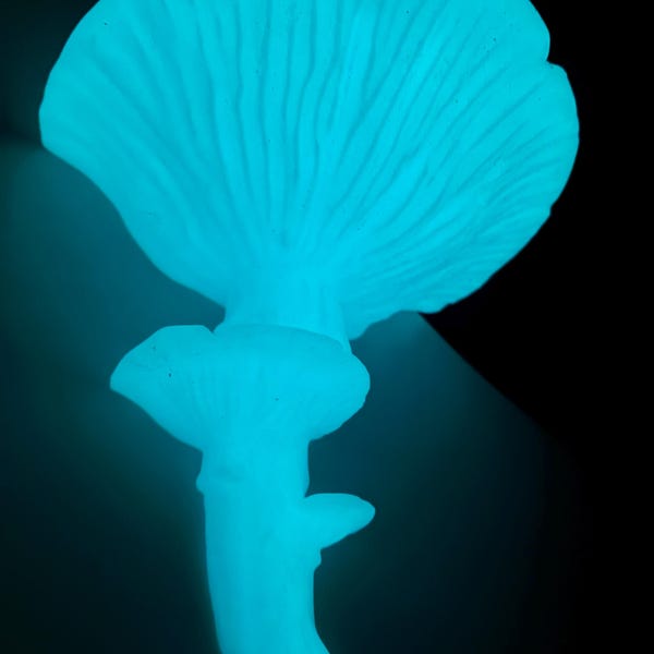 Shimmering Amanita Fungi Lamp | Fungus Light | Nature Decor - Etsy