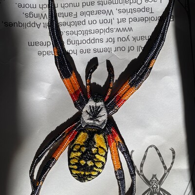 Huge Golden Writing Orb Weaver Spider Argiope Aurantia Gothic Yellow ...