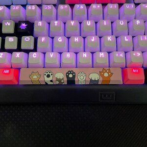 6.25X Cat Paws Claw Spacebar Keycap Cute Pink Painting - Etsy UK