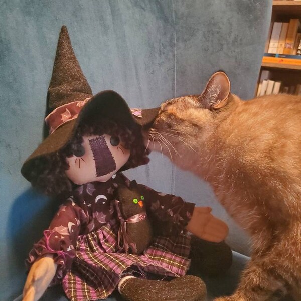 Handmade Modern 16 Raggedy Ann Doll in a Snowflake and Red Bird Dress ...