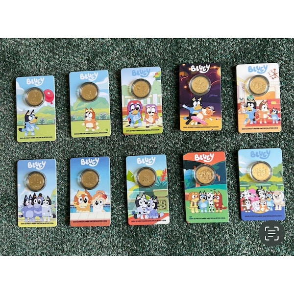 Bluey PNC Set - Etsy