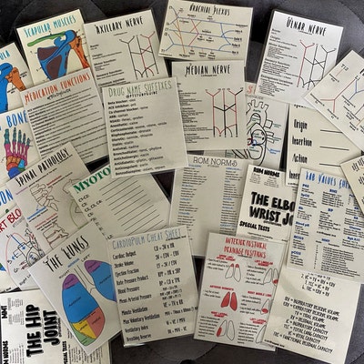 Neurological Exam Cheat Sheet for PT Students Myotomes, Cranial Nerves ...