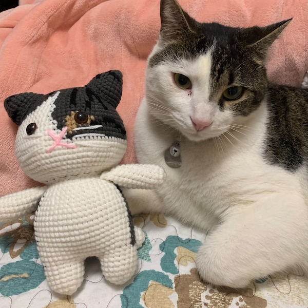 Custom Cat Plush, Custom Stuffed Cat, Cat Stuffed Animal, Custom ...