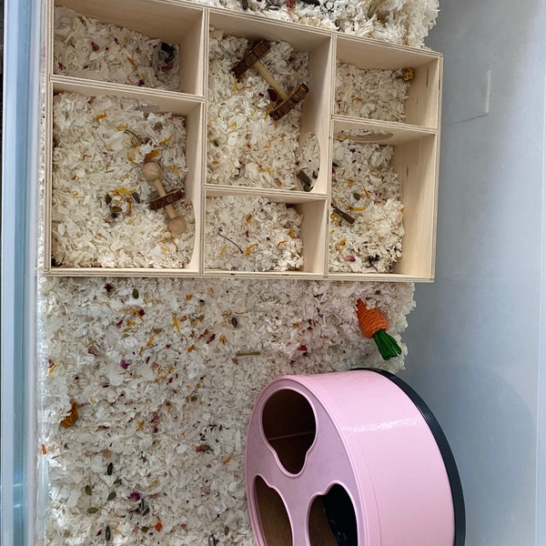 STOP Hammy Time Organic Forage Mix Bestselling Treat for Hamster ...