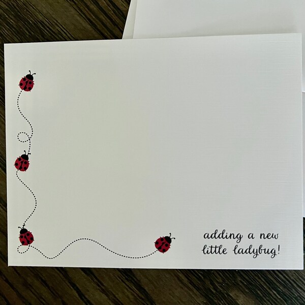 Ladybug With Trail Flat Note Card Set/set of 10 Notes - Etsy