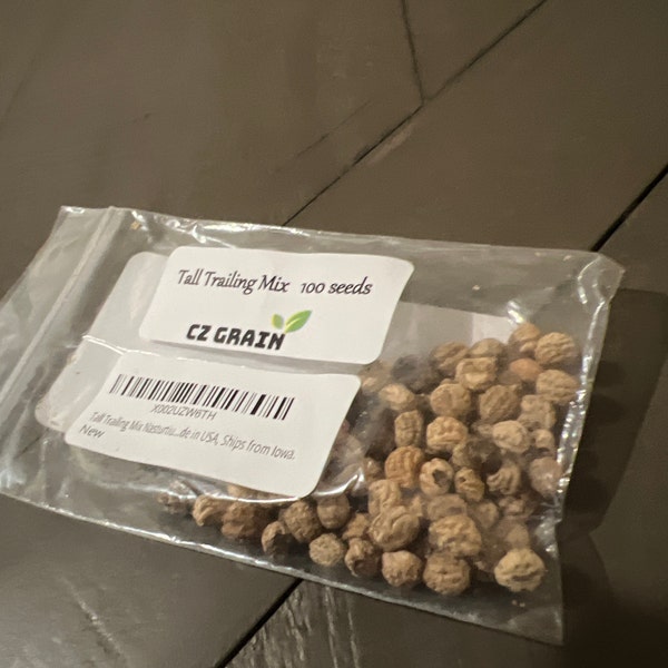 Palo Verde Tree, Cercidium Floridium, Showy Tree, Yellow Desert Bloomer ...