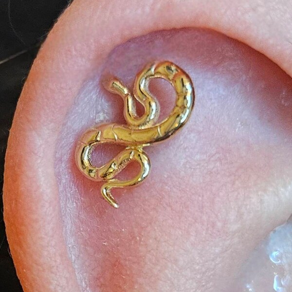 ASTM F136 Titanium Triple Stacked Conch Hoop, 16 Guage, Gold Conch Hoop ...