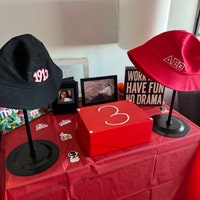 Delta Sigma Theta duck-walk Patch - Etsy Canada