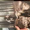 Jesus and Lamb No Words, Smaller Prints, Faith Canvas Prints, Jesus ...