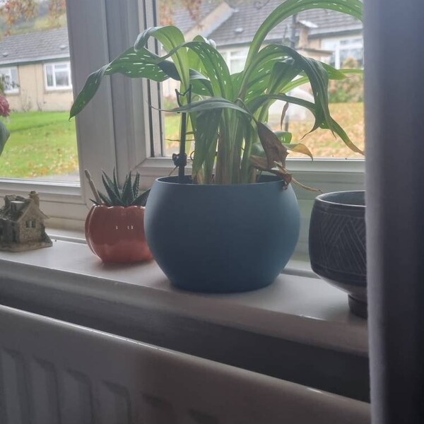 Vibrant Pot for Houseplants, Smooth Curve Design, Indoor Plant Pot ...