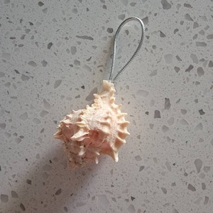 Cross Sea Shell Ornaments-coastal Ornament Coastal Christmas | Etsy