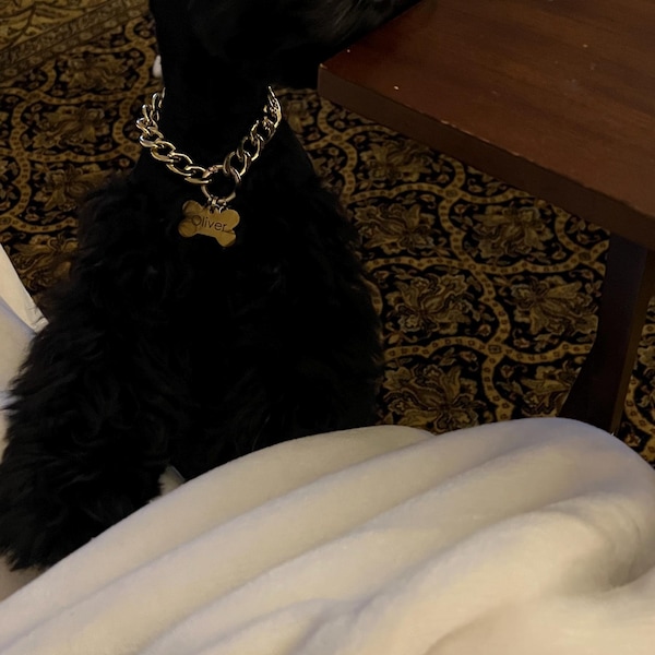 Lightweight Cuban Link Dog Necklace for Dog, Chain Dog Collar Gold ...