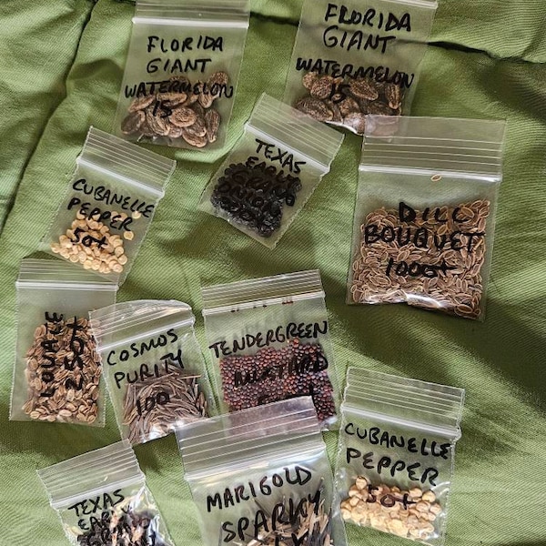 Green Purslane Seeds 500 Portulaca Olerace Sativa Herb Edible Duckweed ...