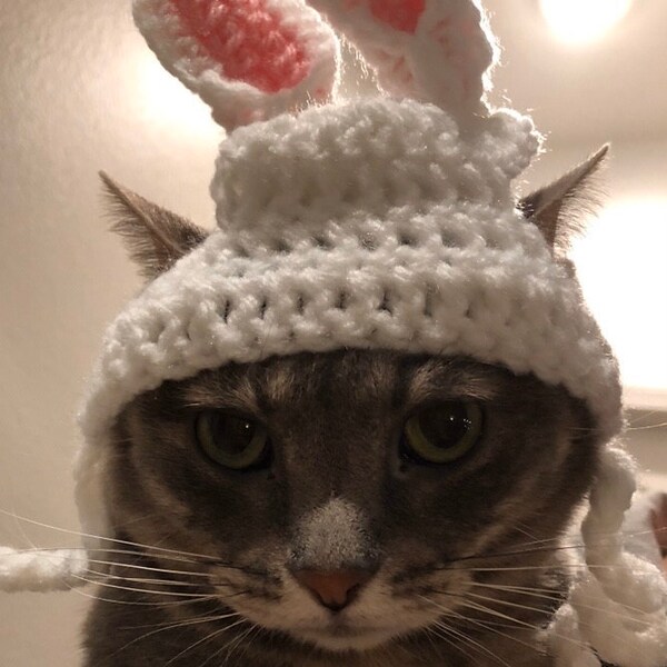 Bunny Ears for Cats, Easter Bunny Costume for Cats, Easter Rabbit Ears ...
