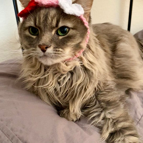 Heart Headband for Cats, Valentine's Day Cat Accessories, Cat Photo ...