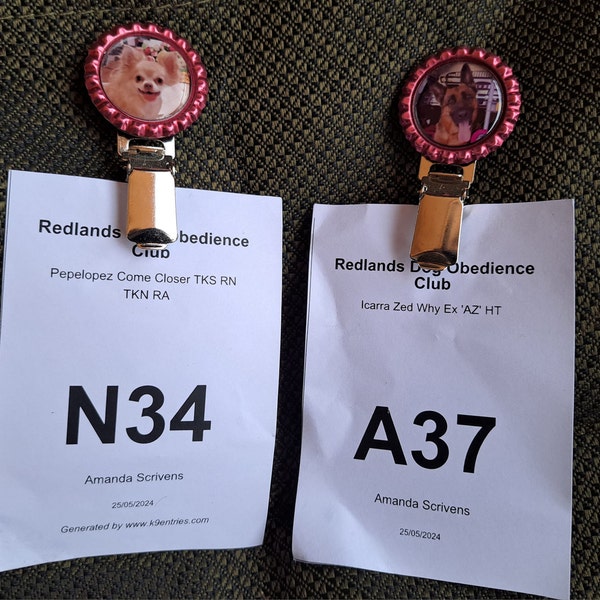Dog Show Ring Clip Exhibitor Number Holder, Sparkly Bow Design With Pin ...