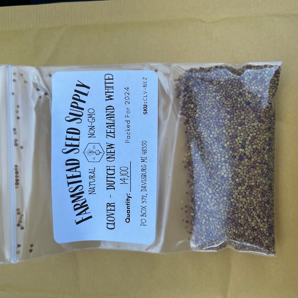 60 Pumpkin Seeds (cinderella) | Rare Heirloom, Non-gmo, Vegetable ...