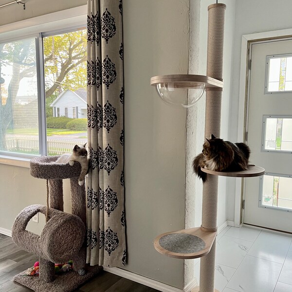 Cat Adjustable Tower Floor to Ceiling Cat Tower Wood Cat Tree Cat ...