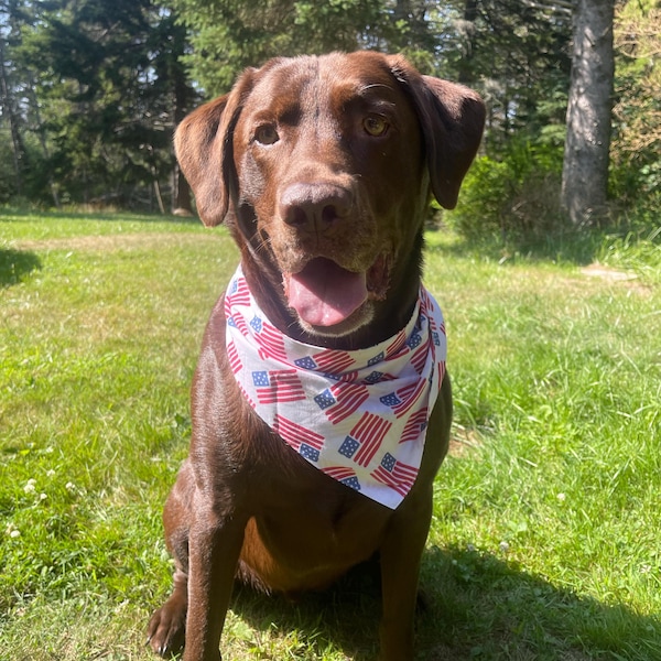 Patriotic Flag Dog Bandana - Etsy