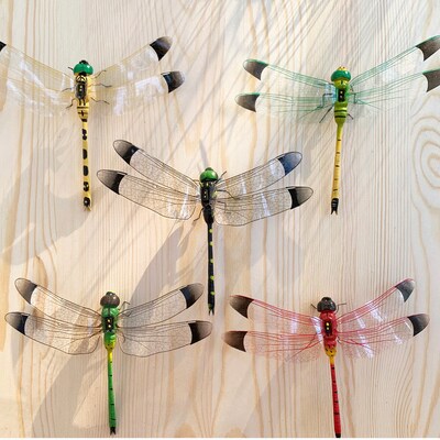 Ladybug, Bug Magnet, Small Size Handmade Clay Magnet Insect Figurine ...