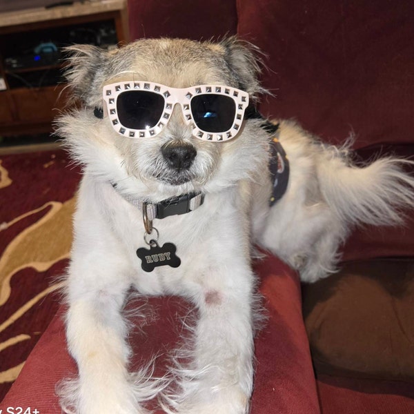 Hello Henri Large Mauve Studded Shades - Etsy