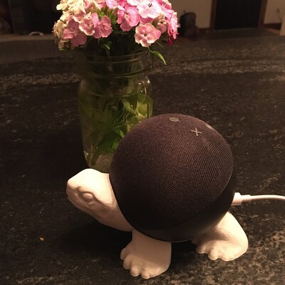 Tortoise Turtle Holder for Amazon Echo Dot 4th & 5th Gen / Alexa Stand ...