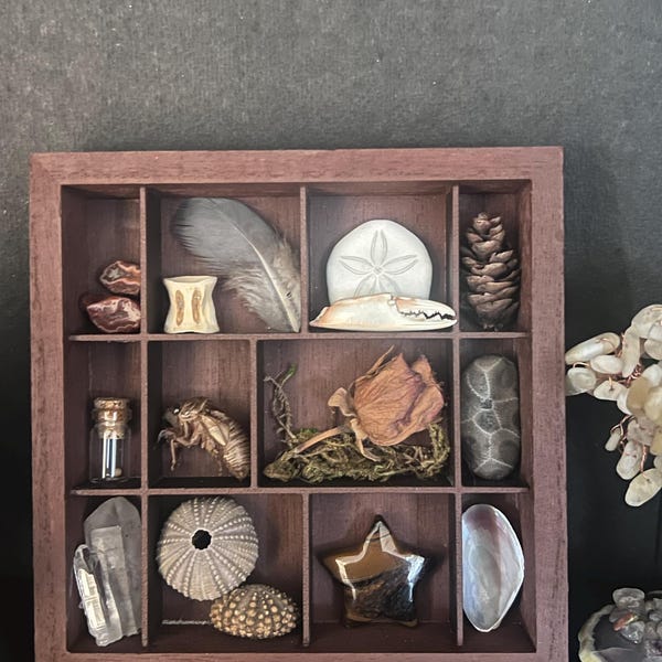Wooden Curiosity Cabinet Printer Tray Letterbox Display, Rock Display ...