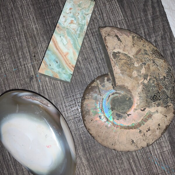 Werewolf, Crystal Gem Mining, DIY, at Home Dig Kit, Rocks, Minerals ...