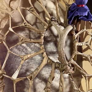 Turtle Shell Rattle - Etsy