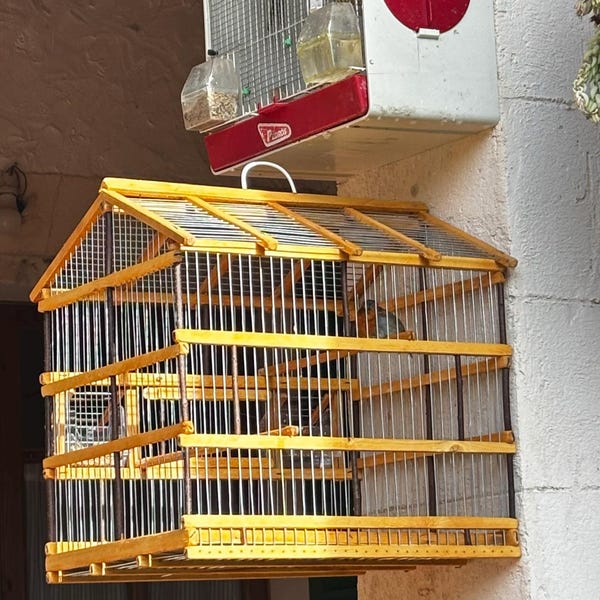 Large Rectangular Bird Cage Full Handmade / Wood Bird Cage / Decorative ...