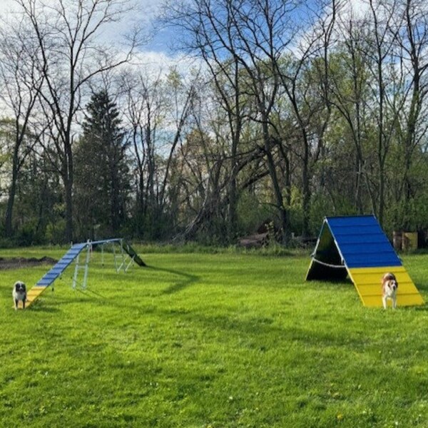 Dog Agility Panel Jump - Etsy