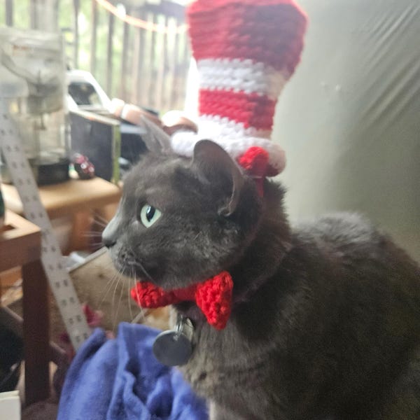 St Patrick's Day, Hats for Cats, Cat Costumes, Cat Hat, Cat Accessories ...