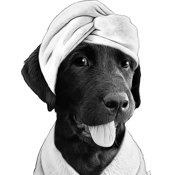 Bathroom Art, Raccoon, Spa Decor, Toilet Humor, Kids Bathroom, Bathroom ...